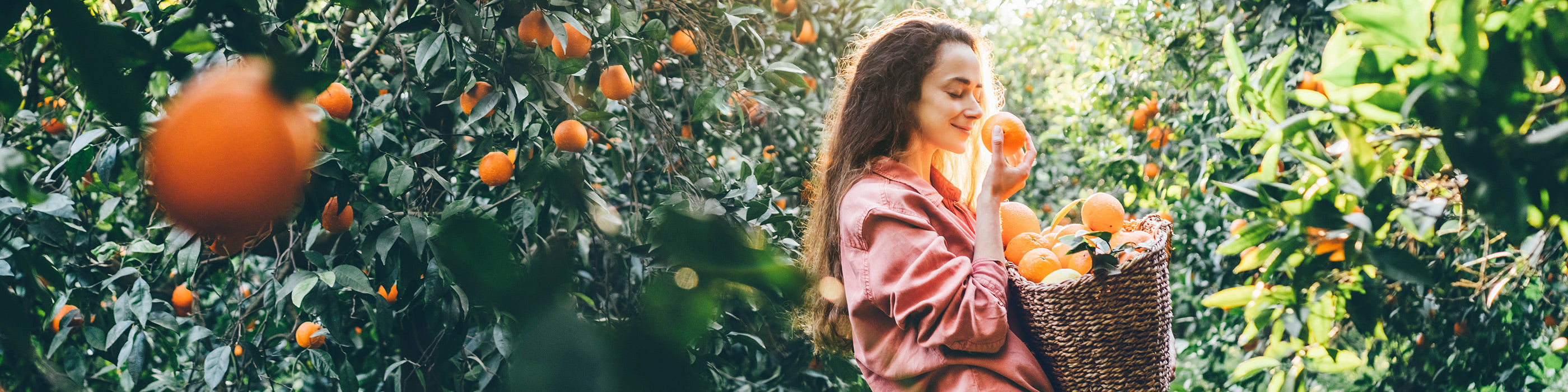 Buy vitamins: Support the body with GSE – gse organic supplements