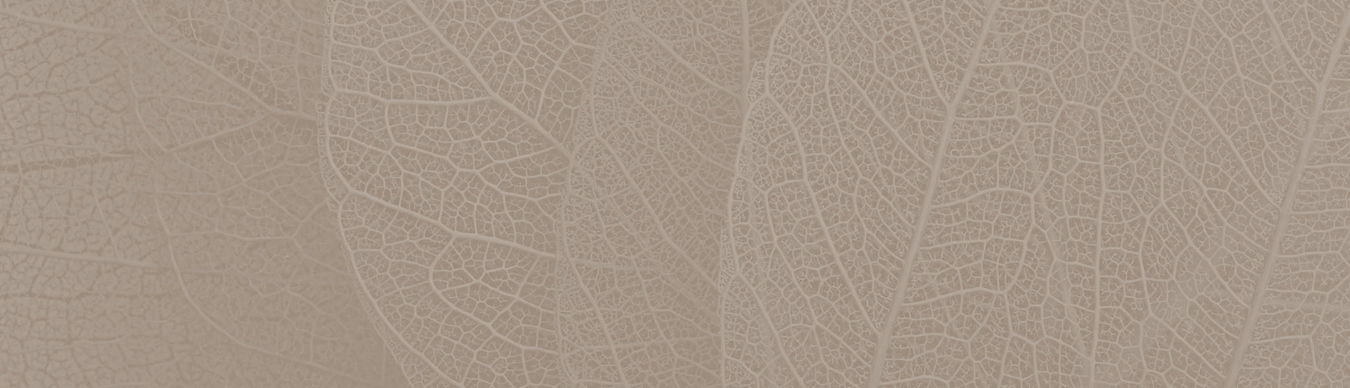 Unsere Story – GSE organic supplements