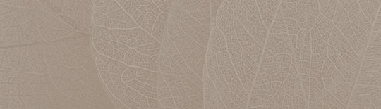 Unsere Story – GSE organic supplements