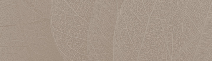 Unsere Story – GSE organic supplements